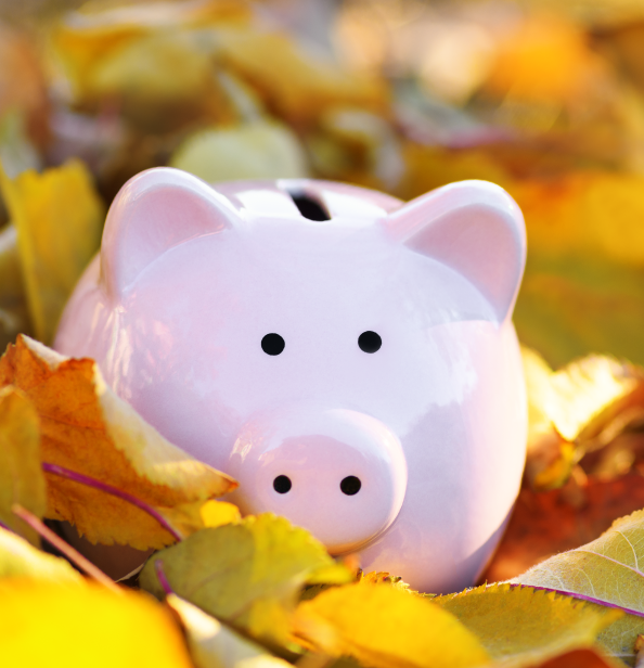 Shore United Bank | MD DE VA Bank | Checking and Savings Accounts